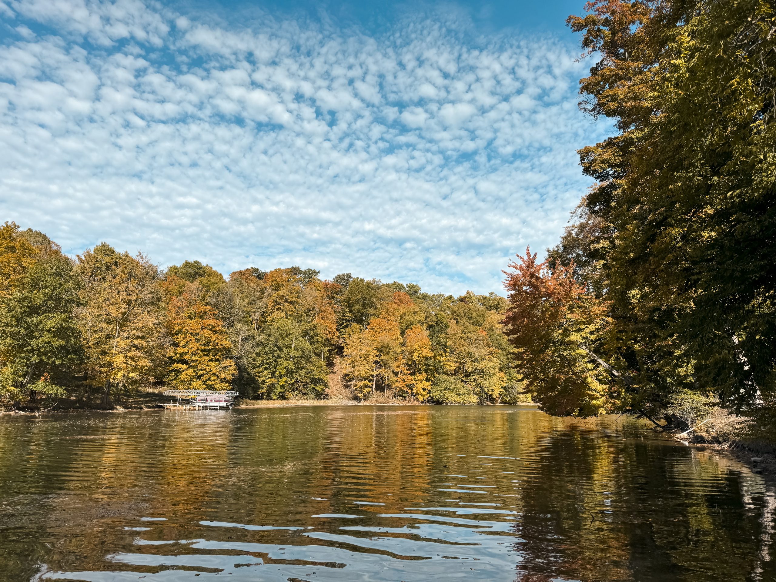 October 2024 Reading List • hey, it's jenna